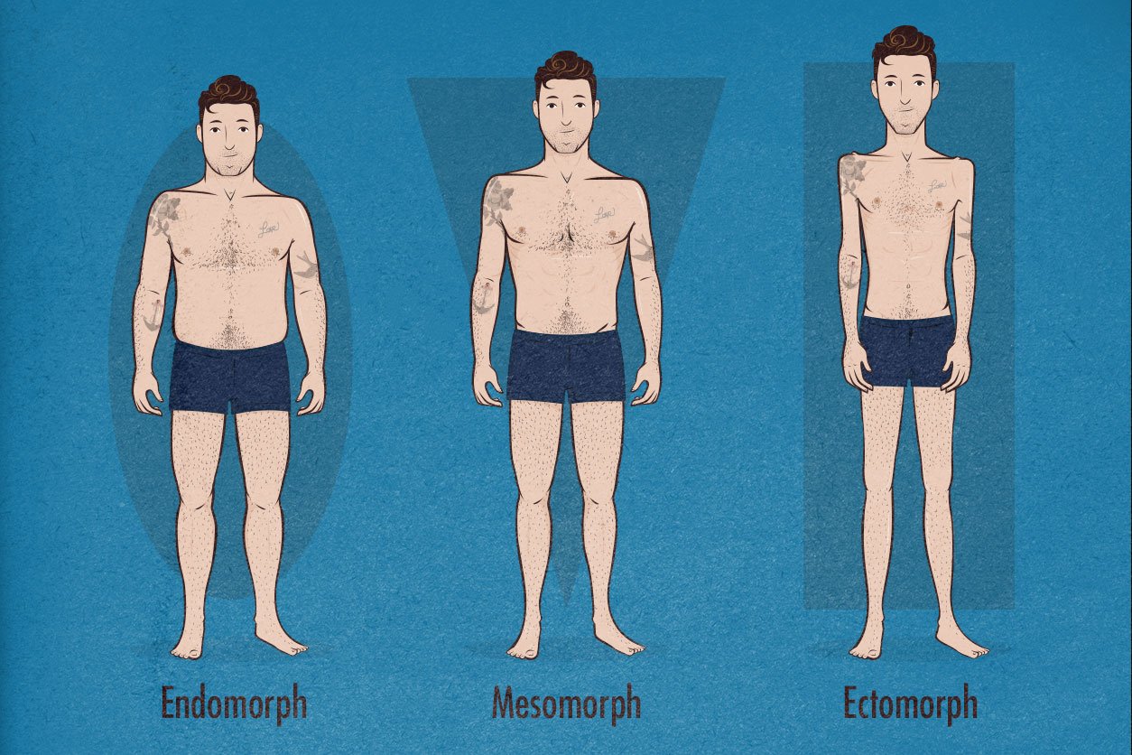 What s Your Body Type Ectomorph Mesomorph Endomorph